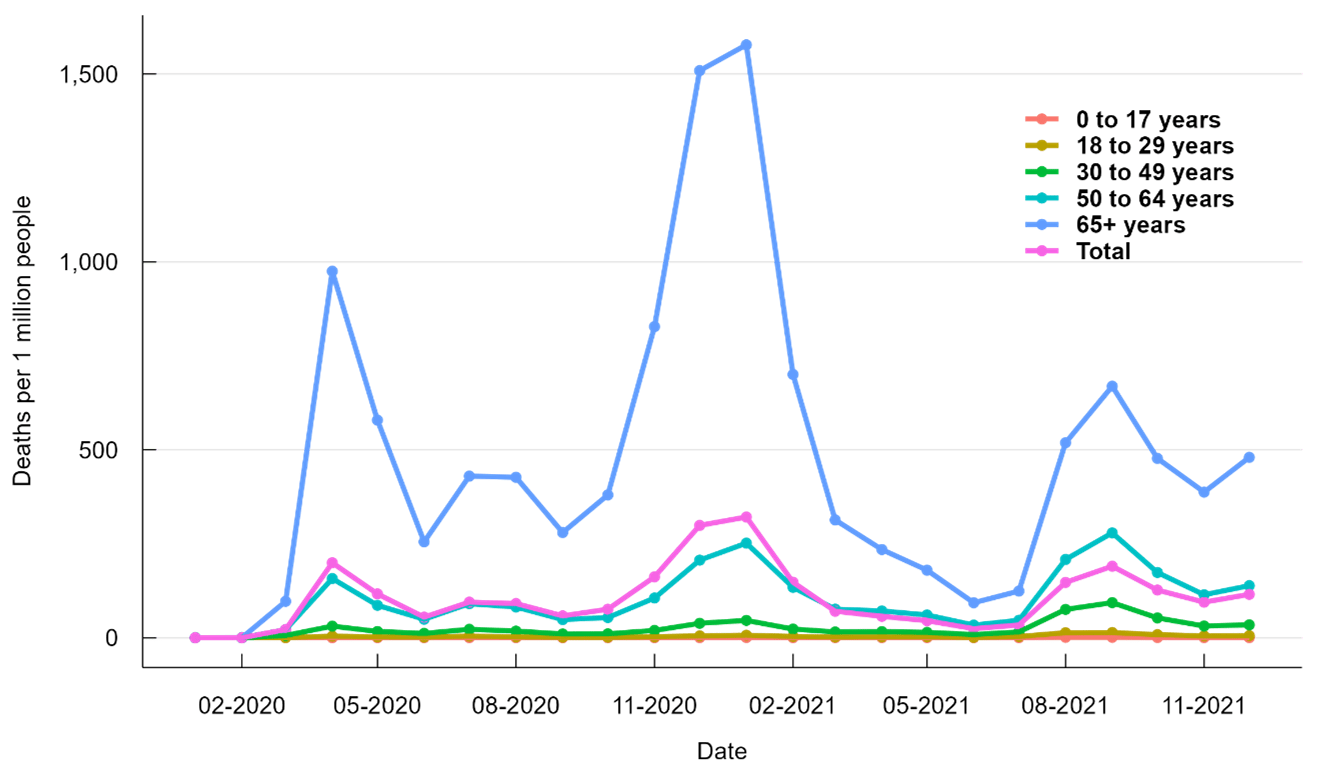 Age-adjusted COVID-19 Mortality Rates by Demographic Groups